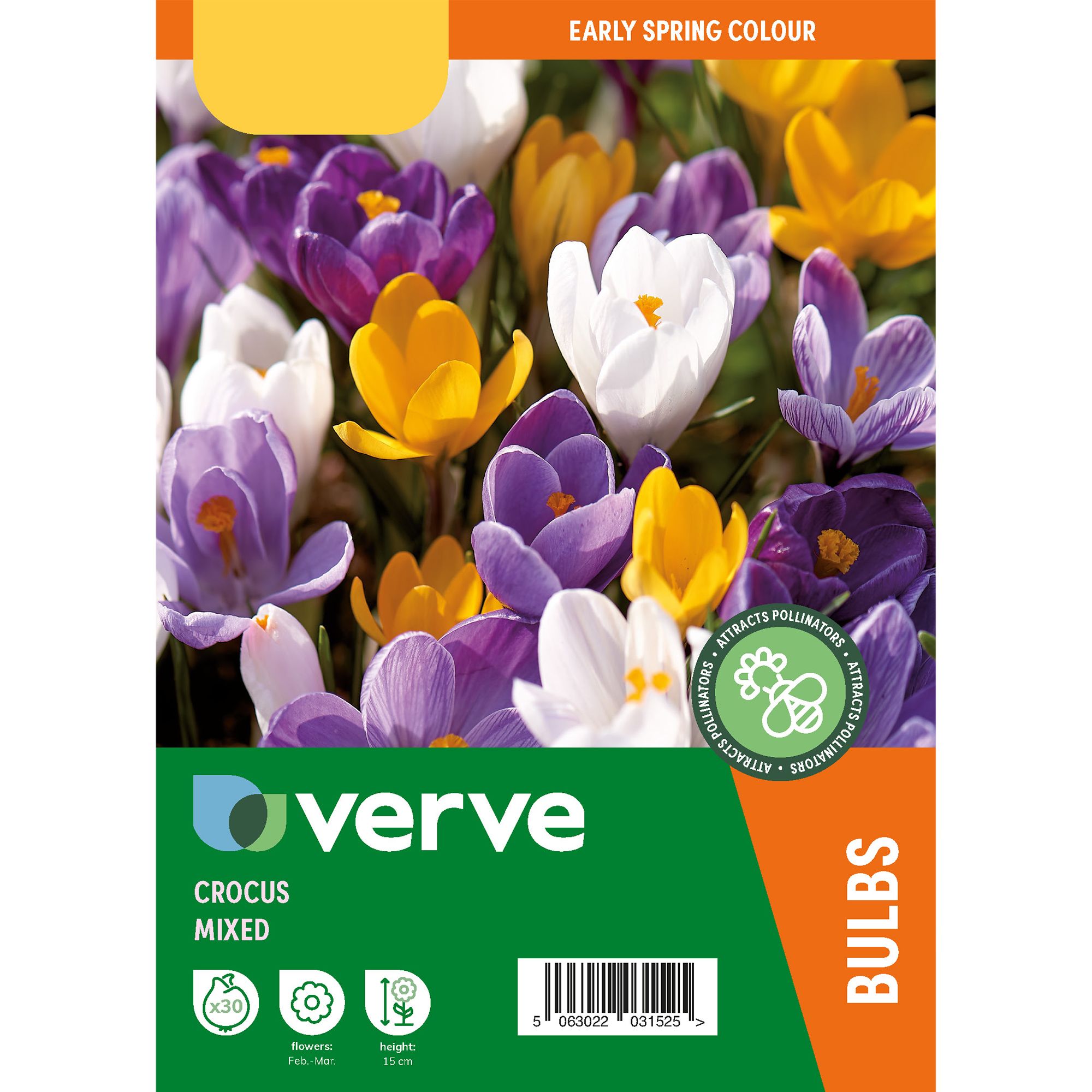 Crocus Mixed (Large flowering) Mix Flower bulb of 30 | DIY at B&Q