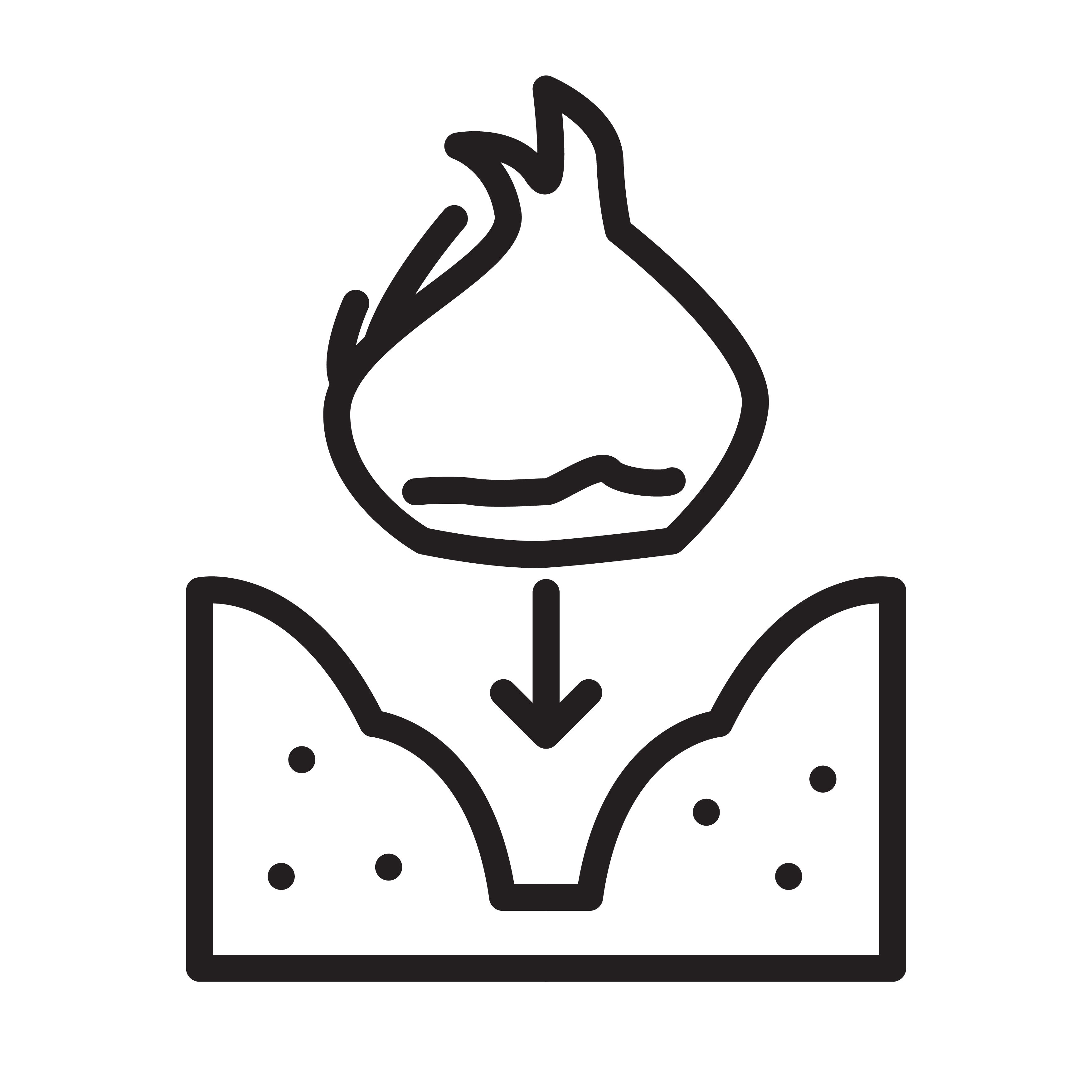 Crocus Ruby Giant 15 Flower bulbs