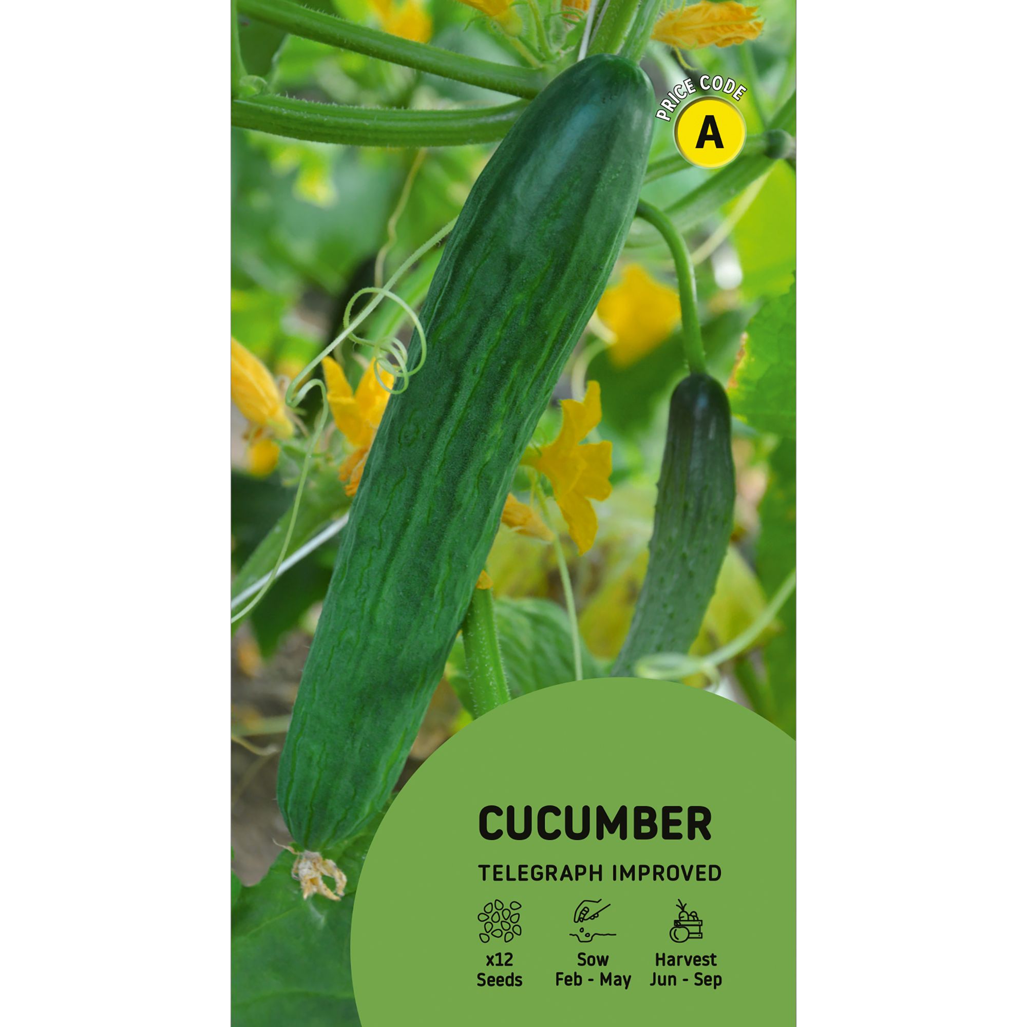 Cucumber 'Telegraph Improved' Vegetable Seeds
