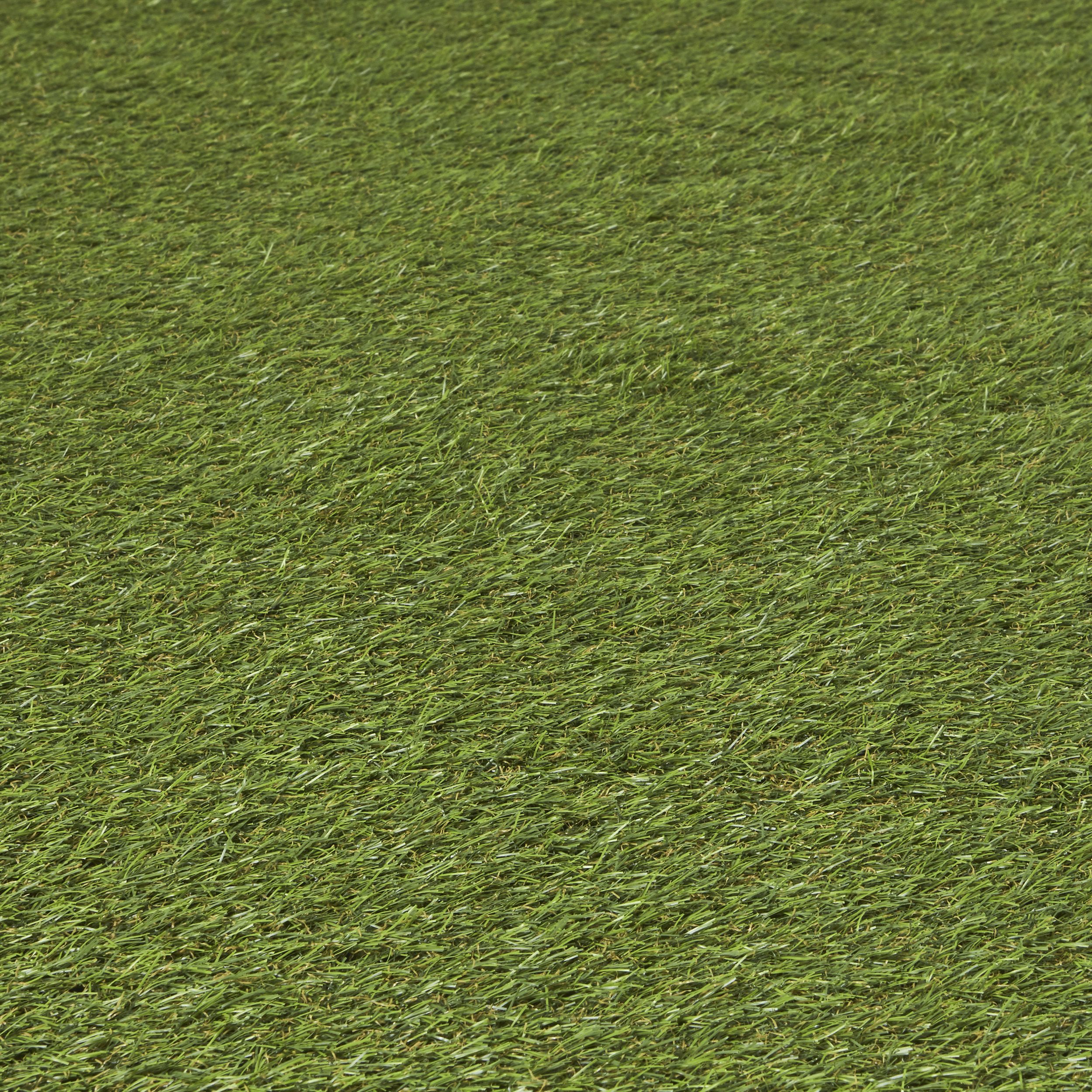 Dennis Artificial grass 8m² (T)22mm | DIY at B&Q