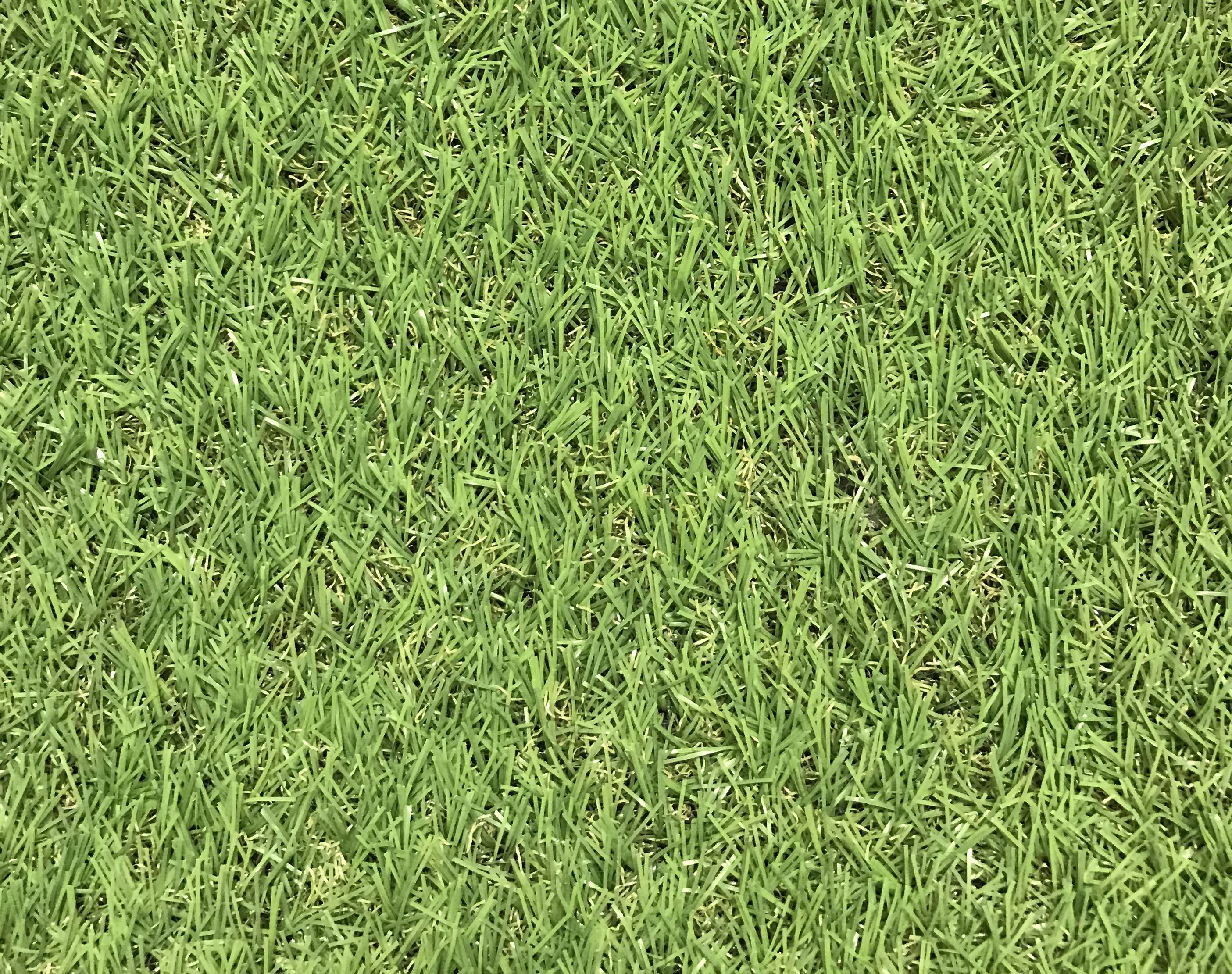 Dennis Medium density Artificial grass (L)4m (W)1m (T)22mm | DIY at B&Q
