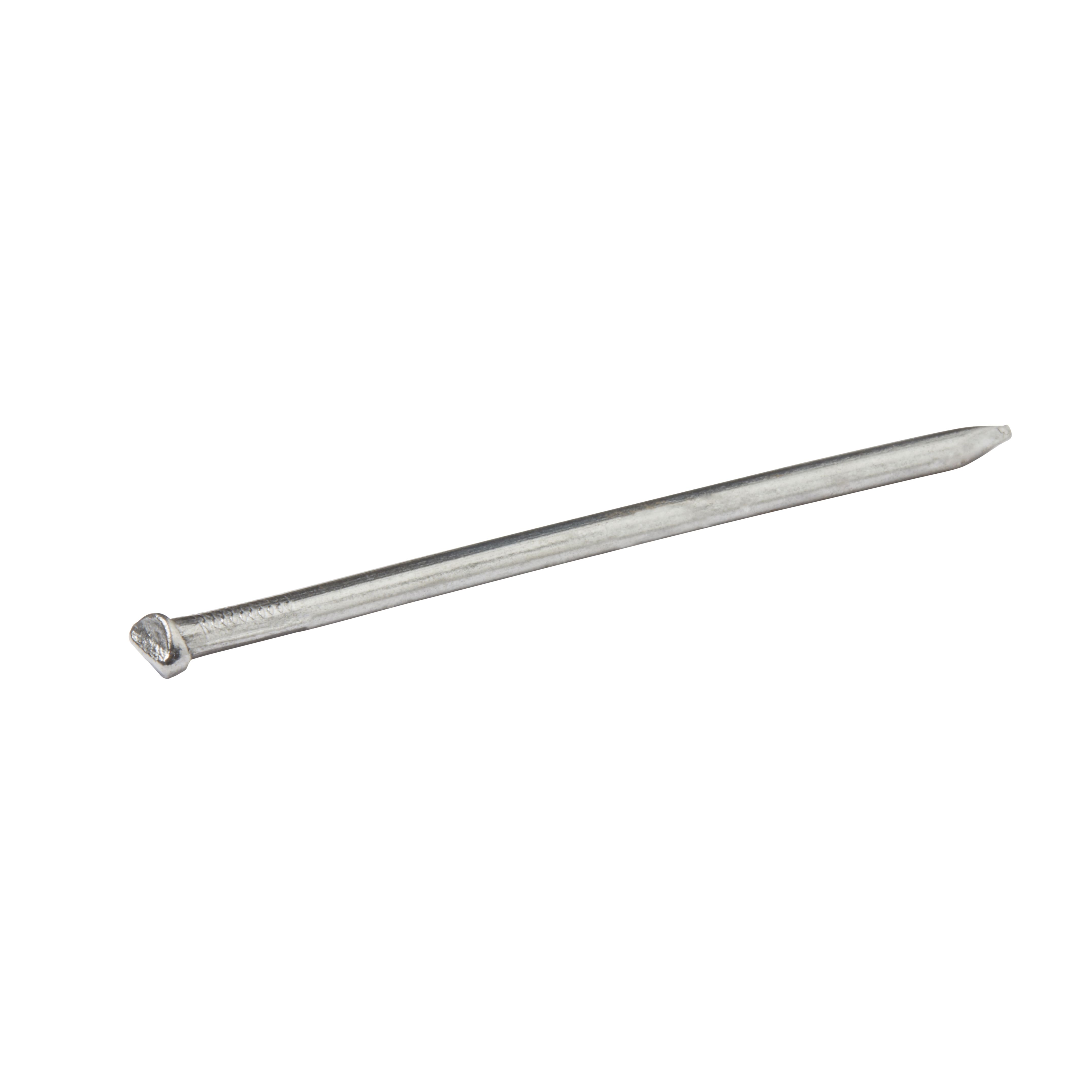 Diall Oval nail (L)100mm 500g