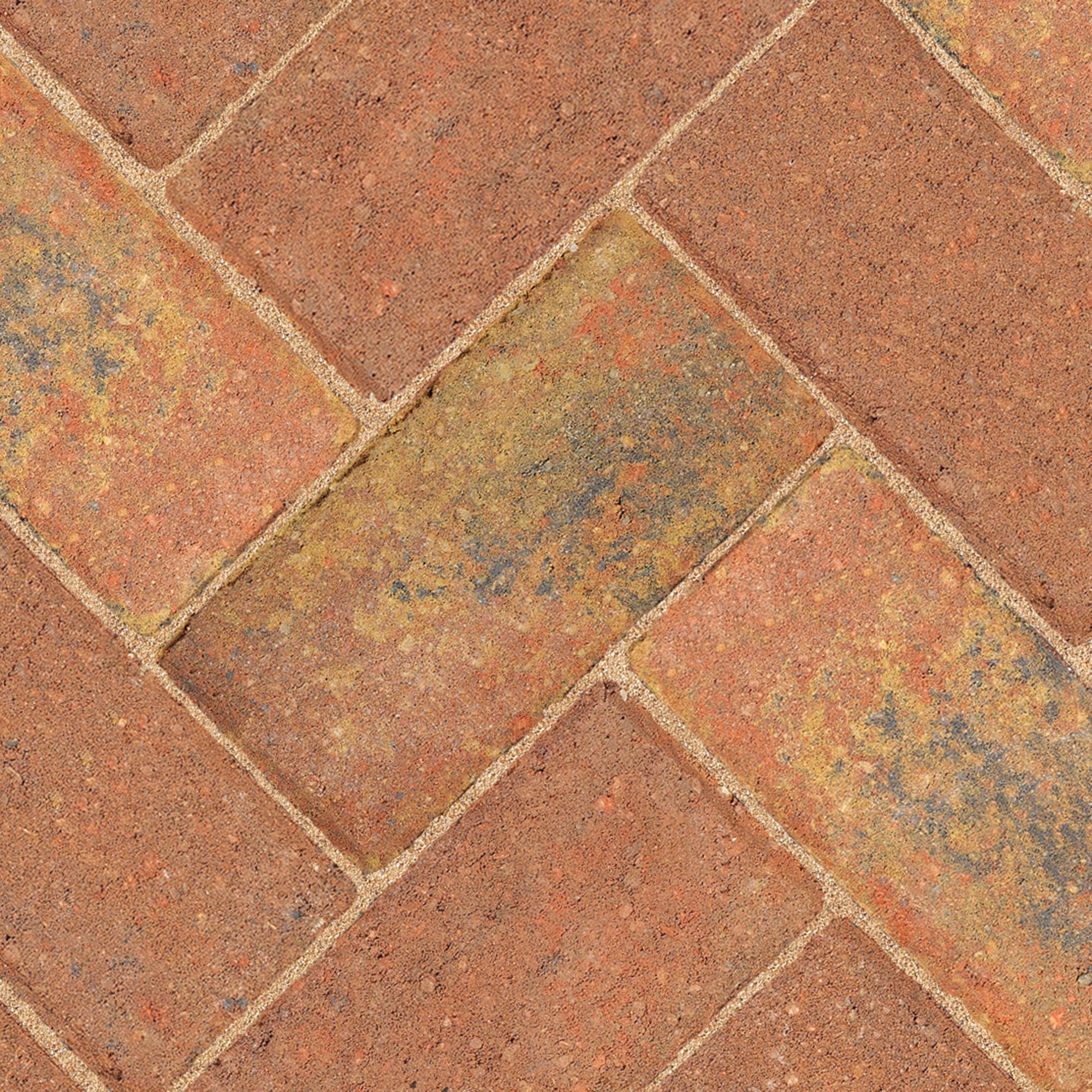 Driveway Autumn Block paving (L)200mm (W)100mm (T)50mm | DIY at B&Q