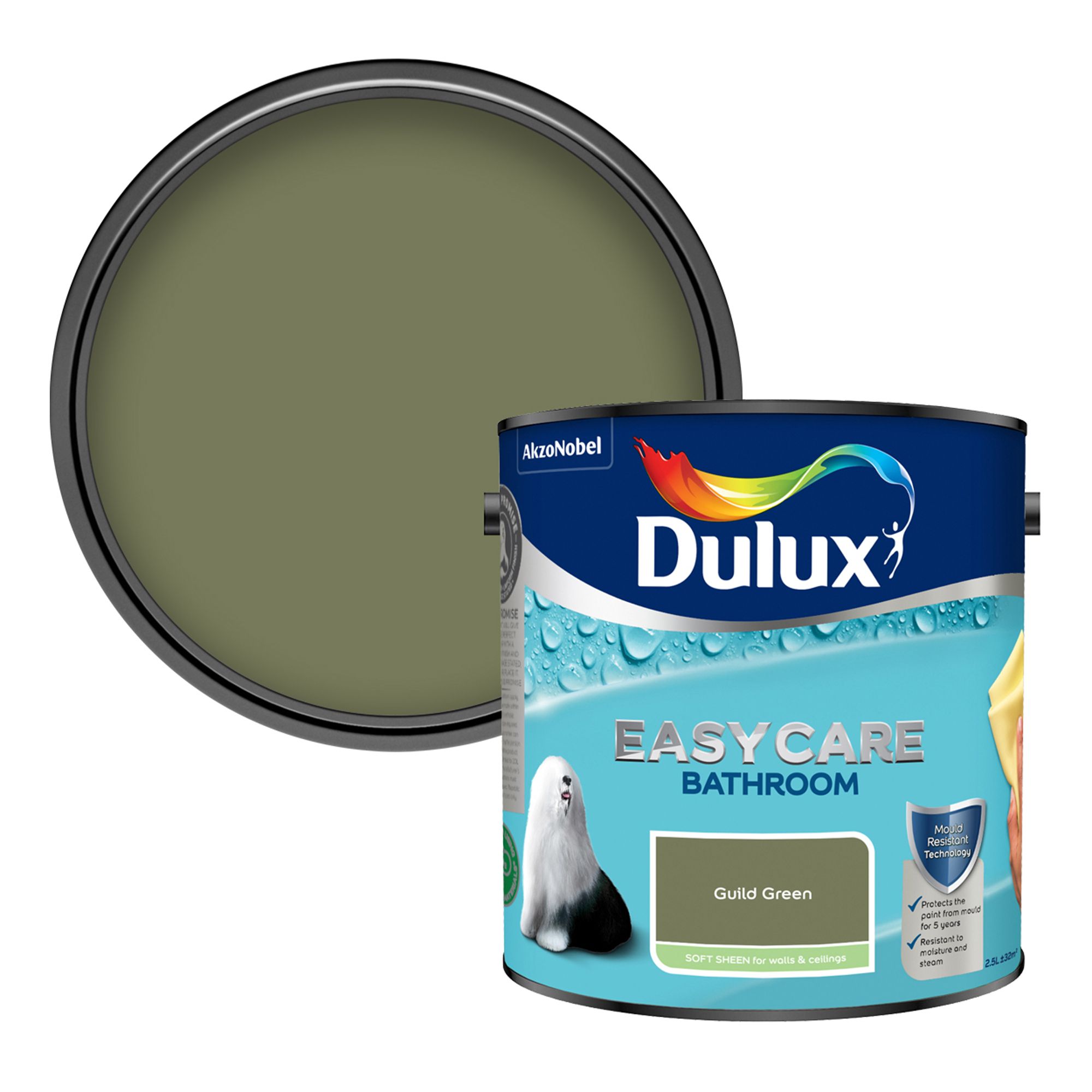 Dulux Easycare Bathroom Guild Green Soft sheen Wall & ceiling Emulsion ...
