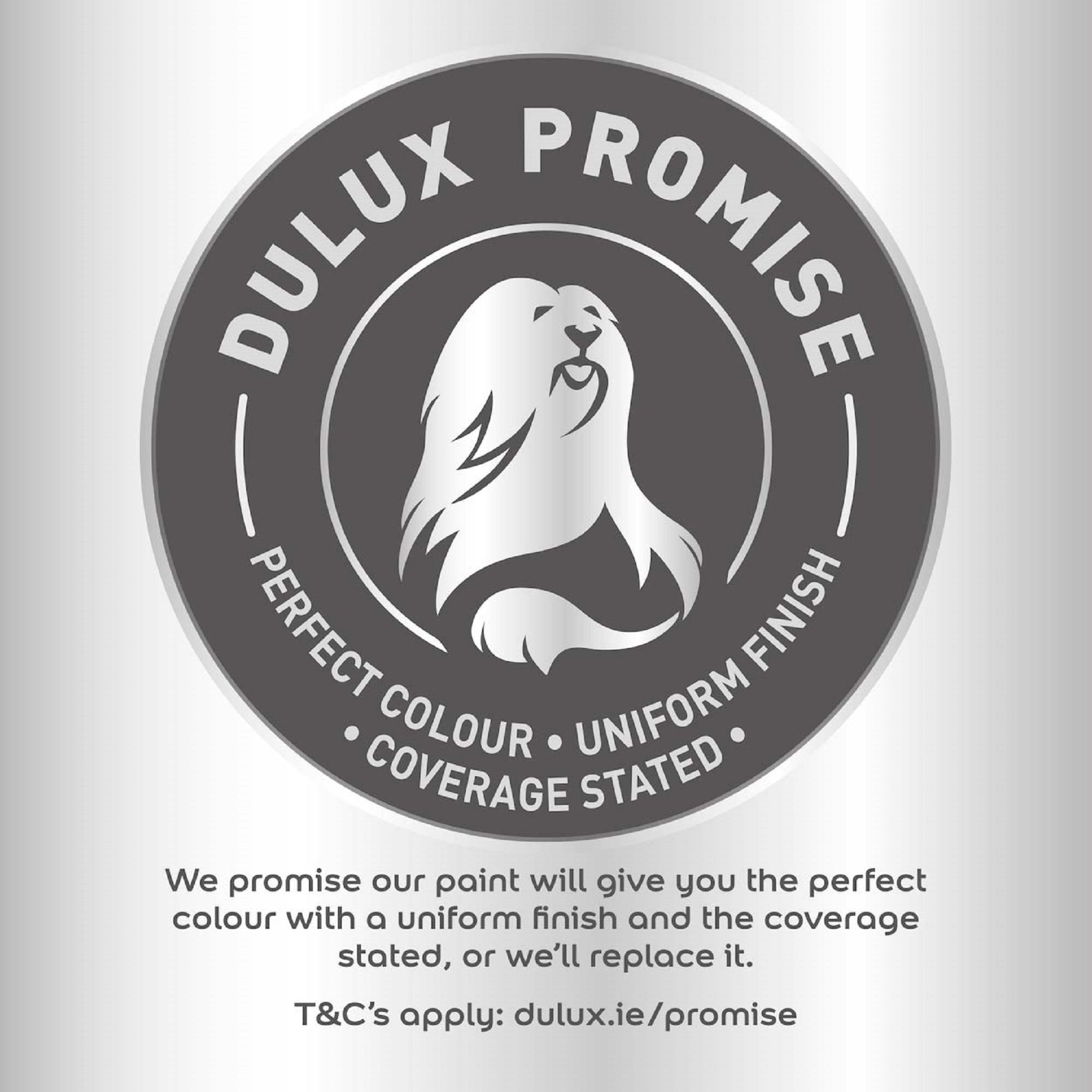 Dulux Easycare Washable & Tough Timeless Matt Wall & ceiling Emulsion ...