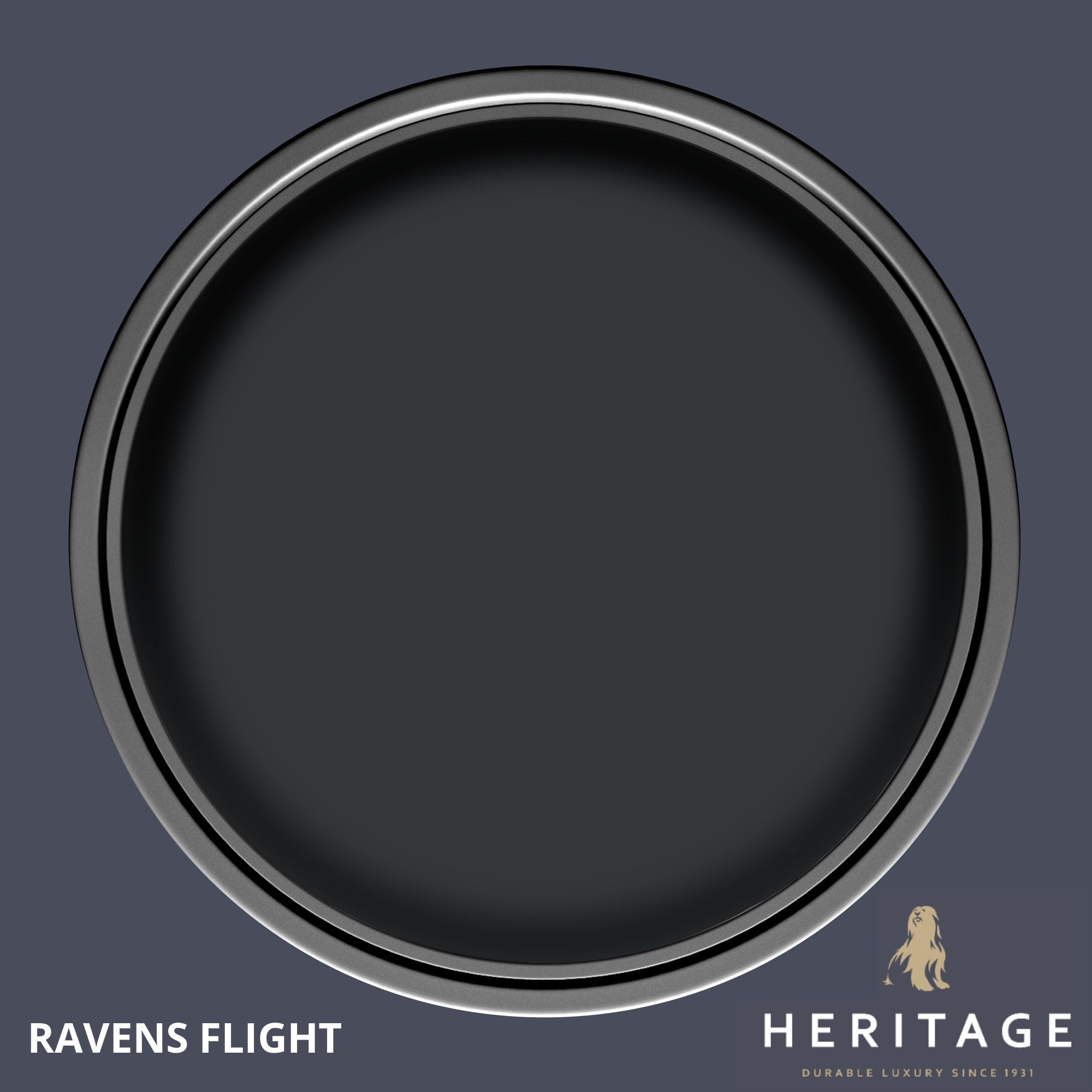 raven eggshell