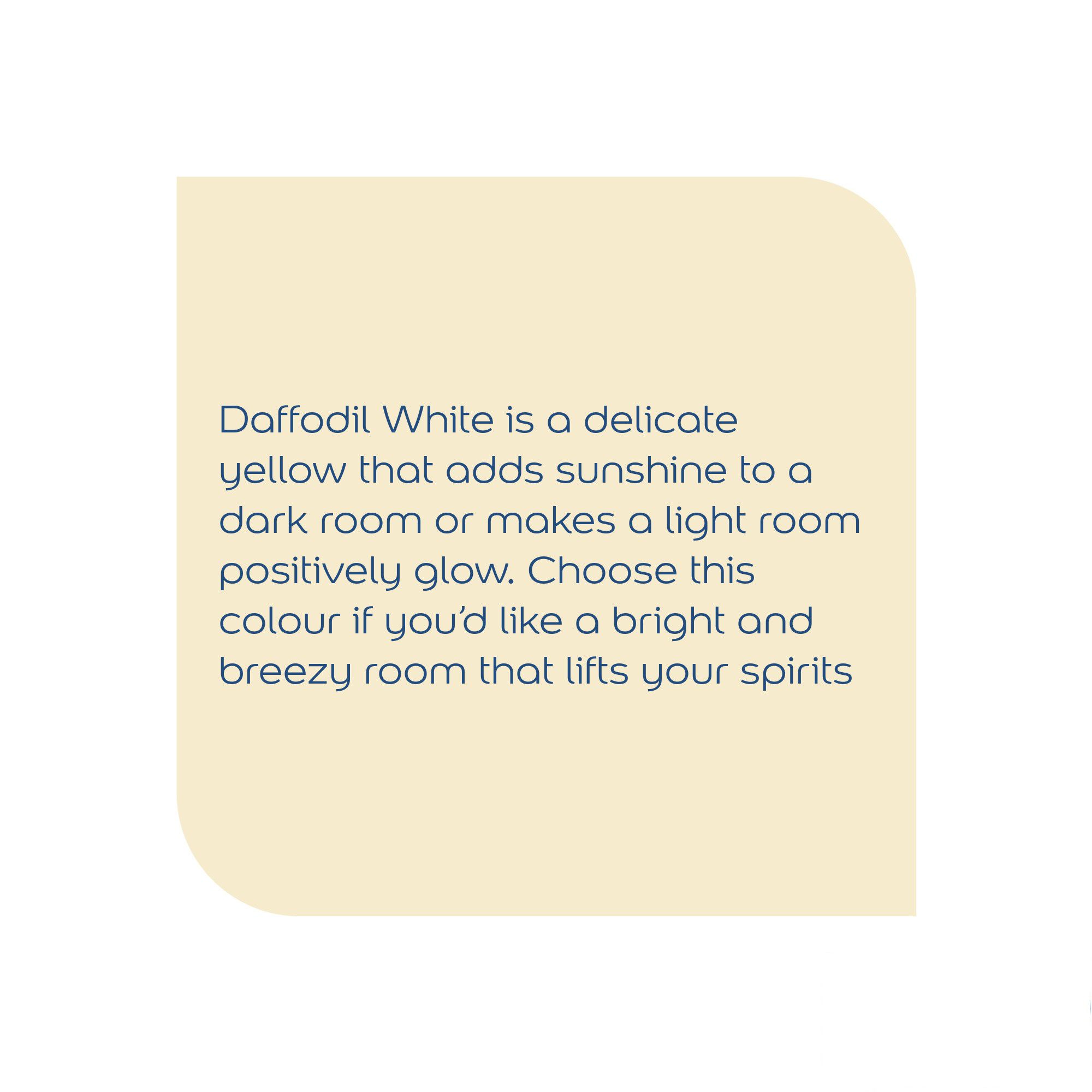 Dulux Natural Hints Daffodil white Matt Wall & ceiling Emulsion paint, 2.5L