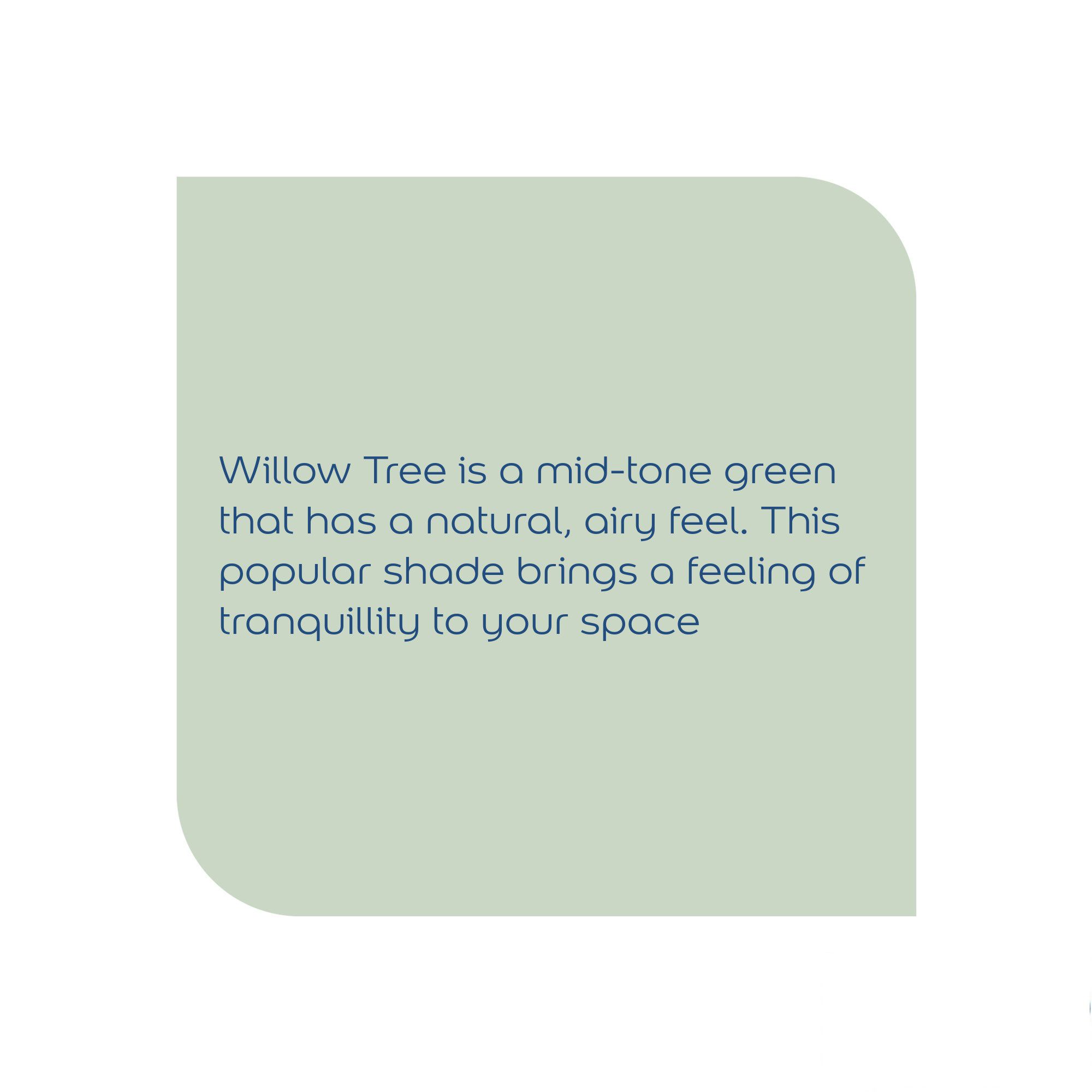 Dulux Standard Willow tree Matt Wall & ceiling Emulsion paint, 30ml ...