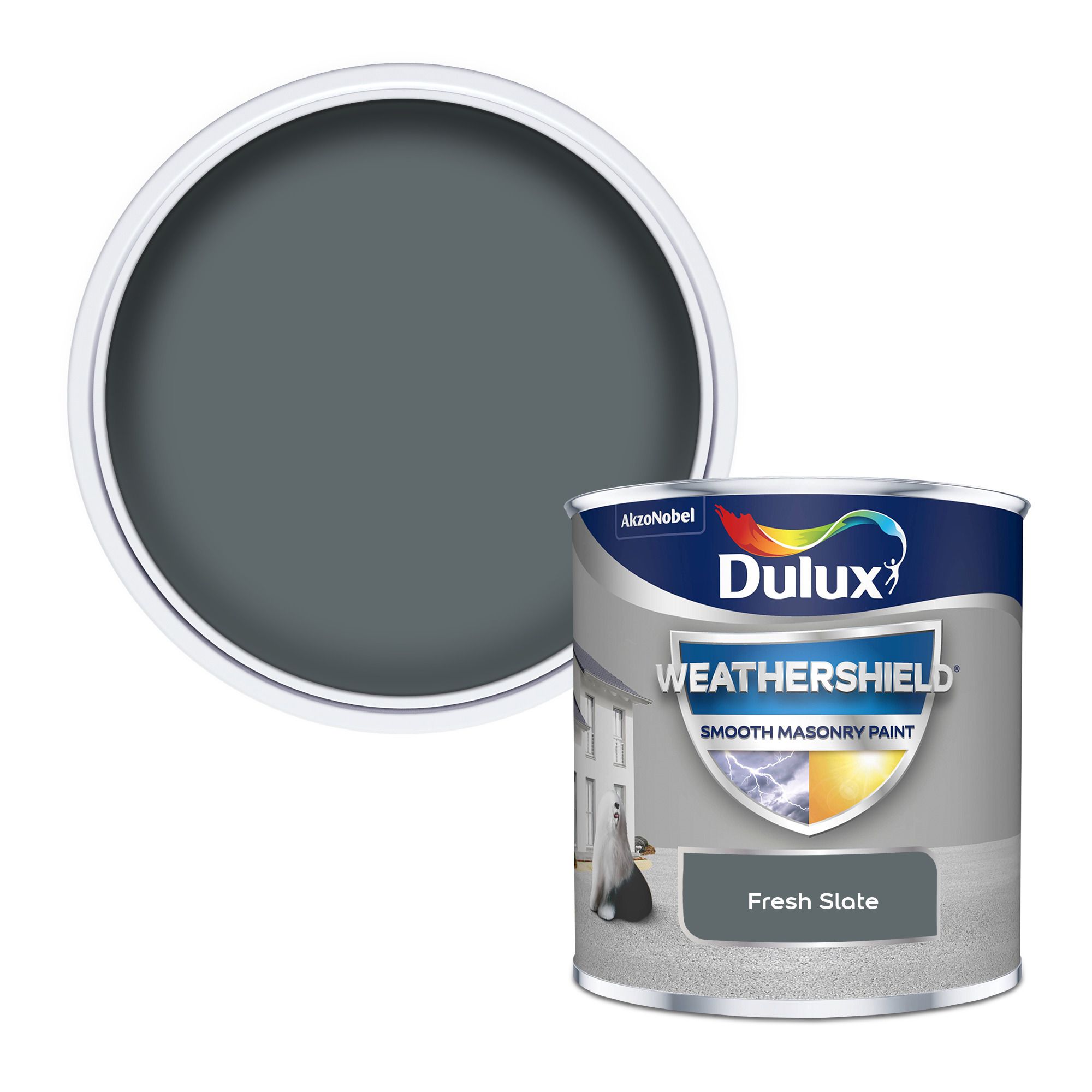 Dulux Weathershield Fresh Slate Matt Masonry paint, 250ml Tester pot
