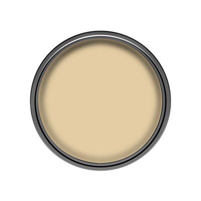 Dulux Weathershield ultimate protection County cream Matt Masonry paint ...