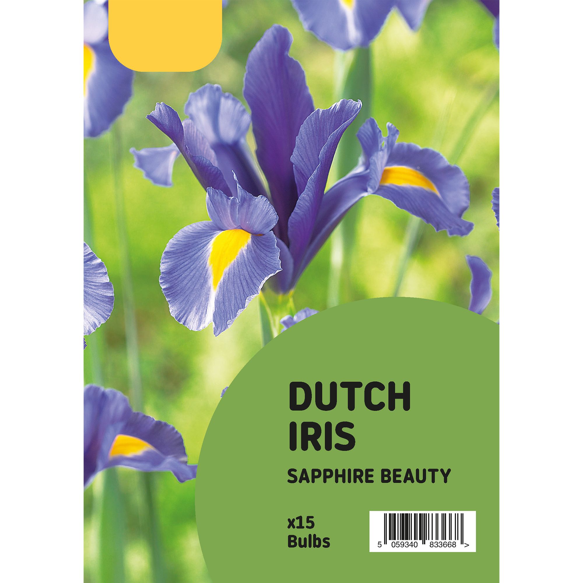 Dutch Iris Sapphire Beauty Flower bulb, Pack of 15 | DIY at B&Q