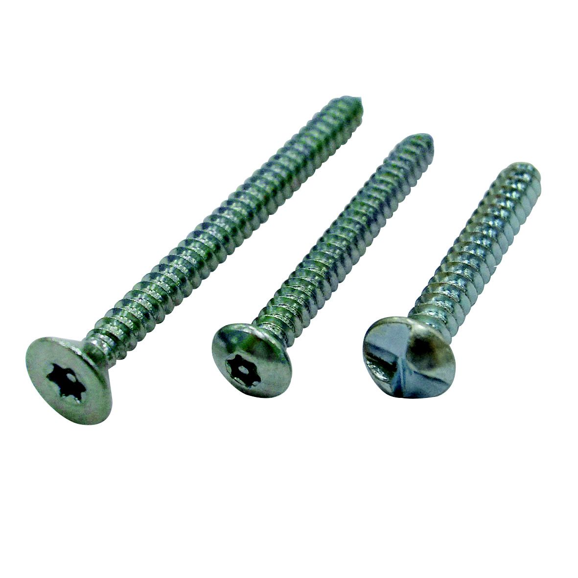 Easydrive Security screw Stainless steel Screws trade case, Pack of 300