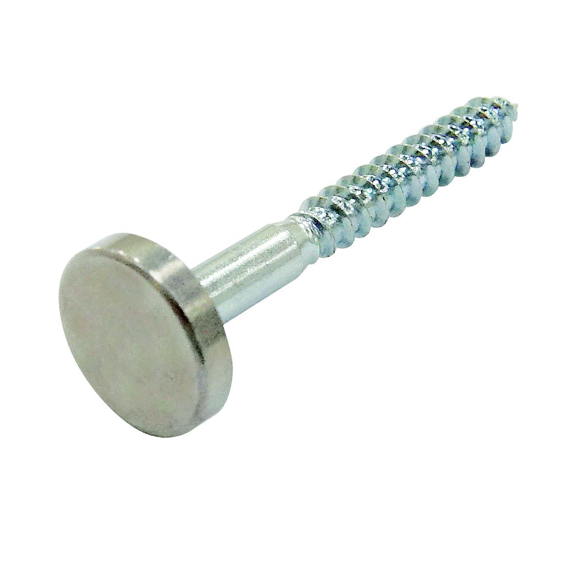 Easyfix Polished Mirror screw (L)31mm, Pack of 10