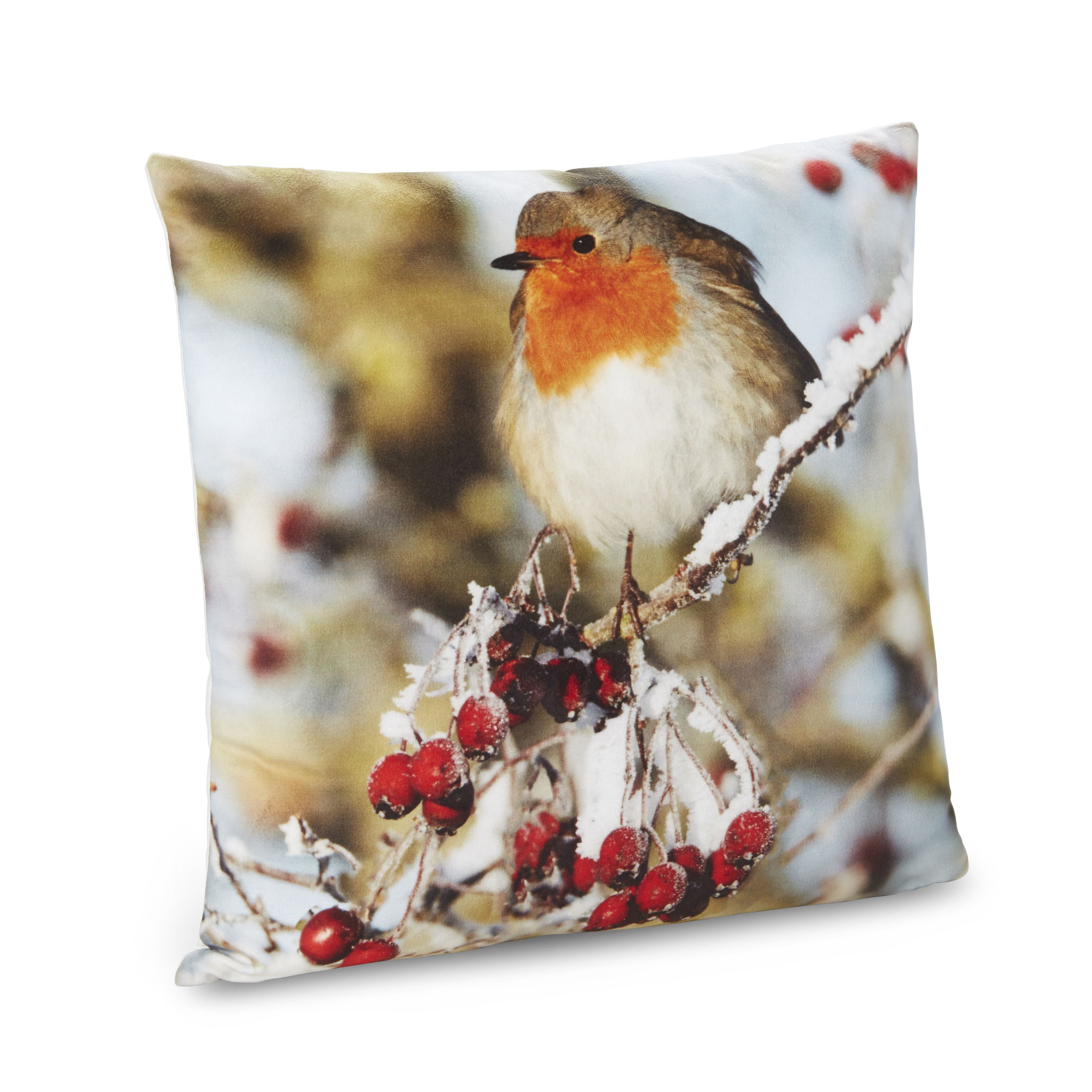 Elana Robin Cushion, Multicolour | DIY at B&Q