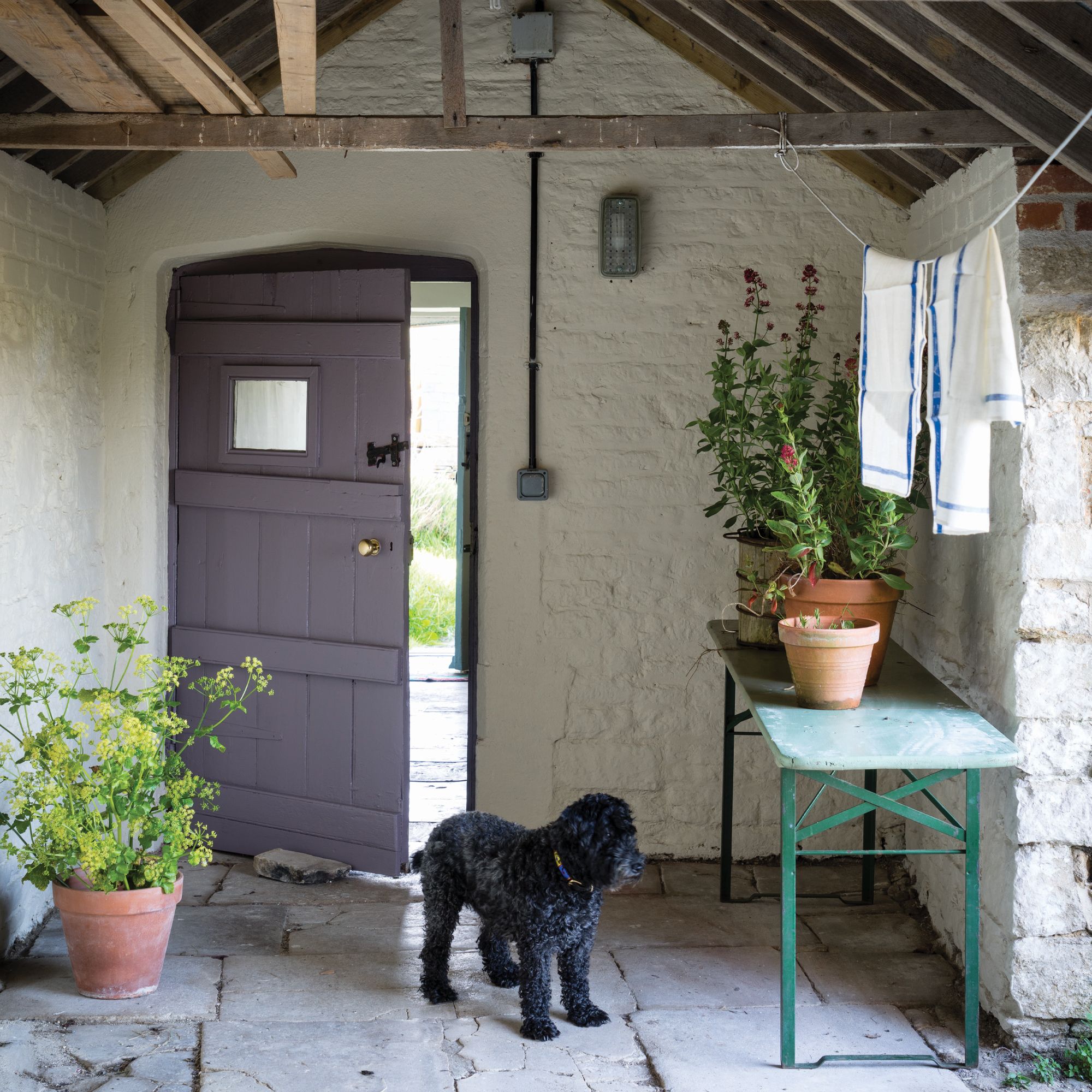 Farrow & Ball Joa's White No.226 Flat eggshell Multi-surface Topcoat ...