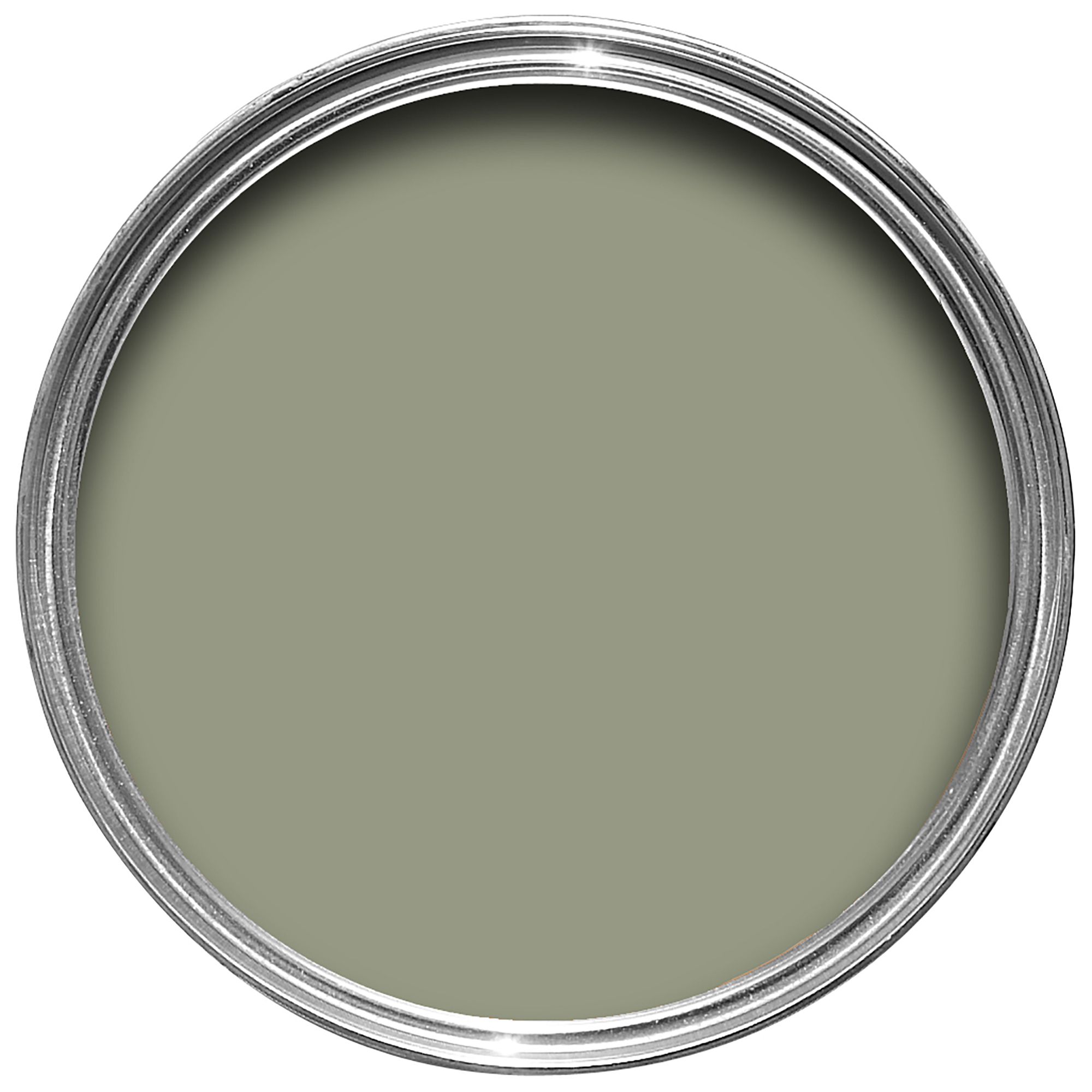 Farrow & Ball Modern Lichen No.19 Matt Emulsion paint, 2.5L