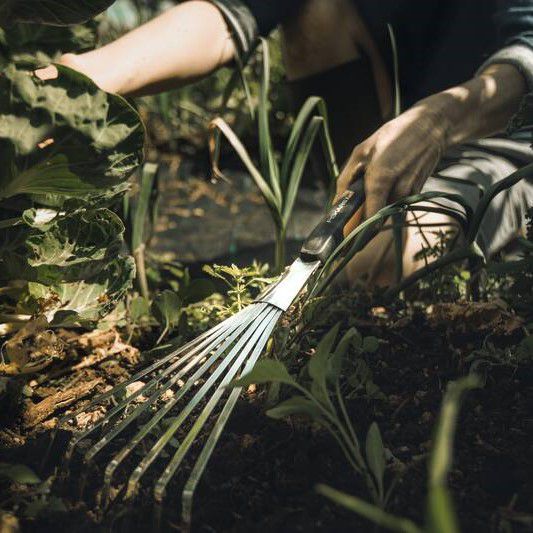 Fiskars Xact Soil Hand rake (W)123mm