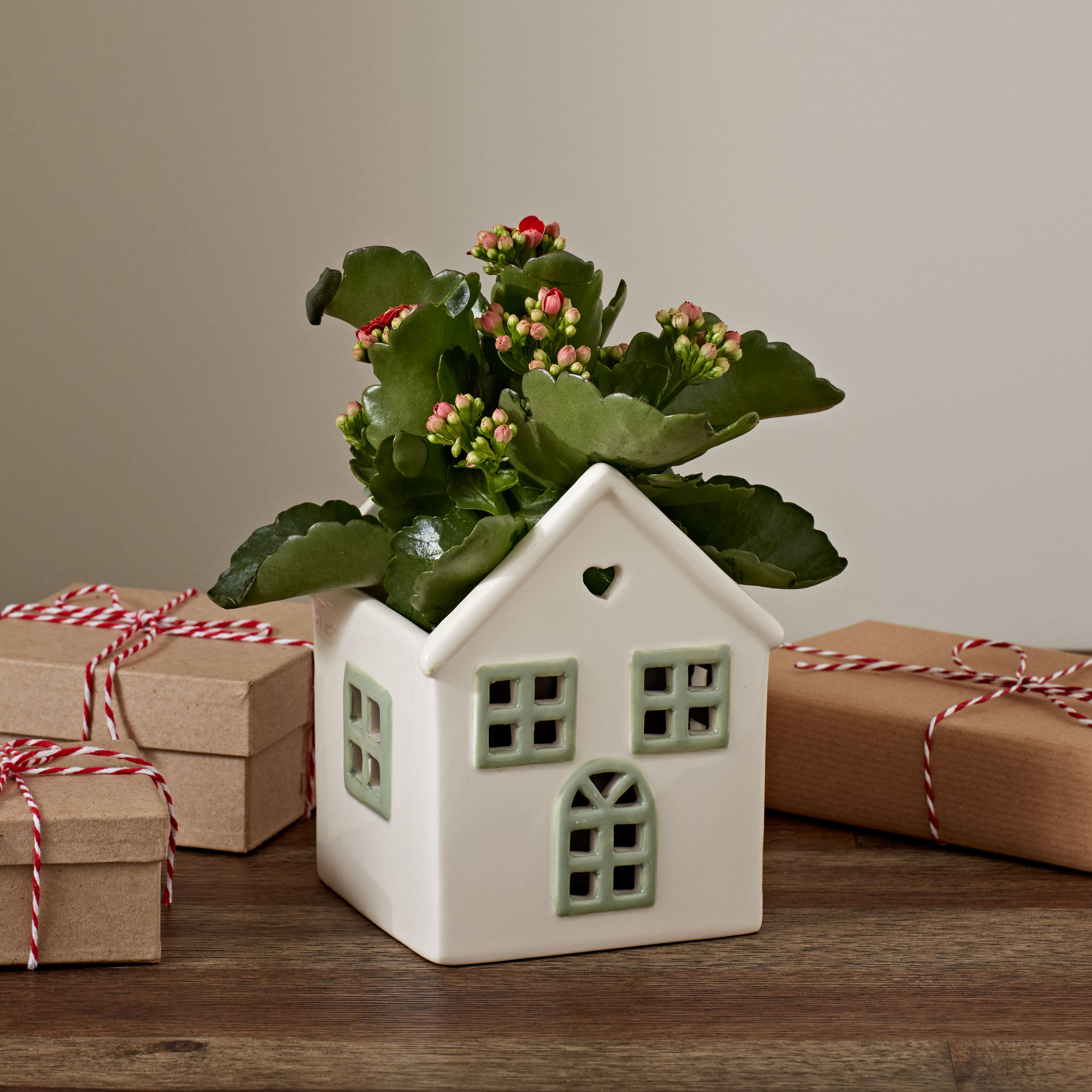 Flaming katy Ceramic Decorative pot 9cm