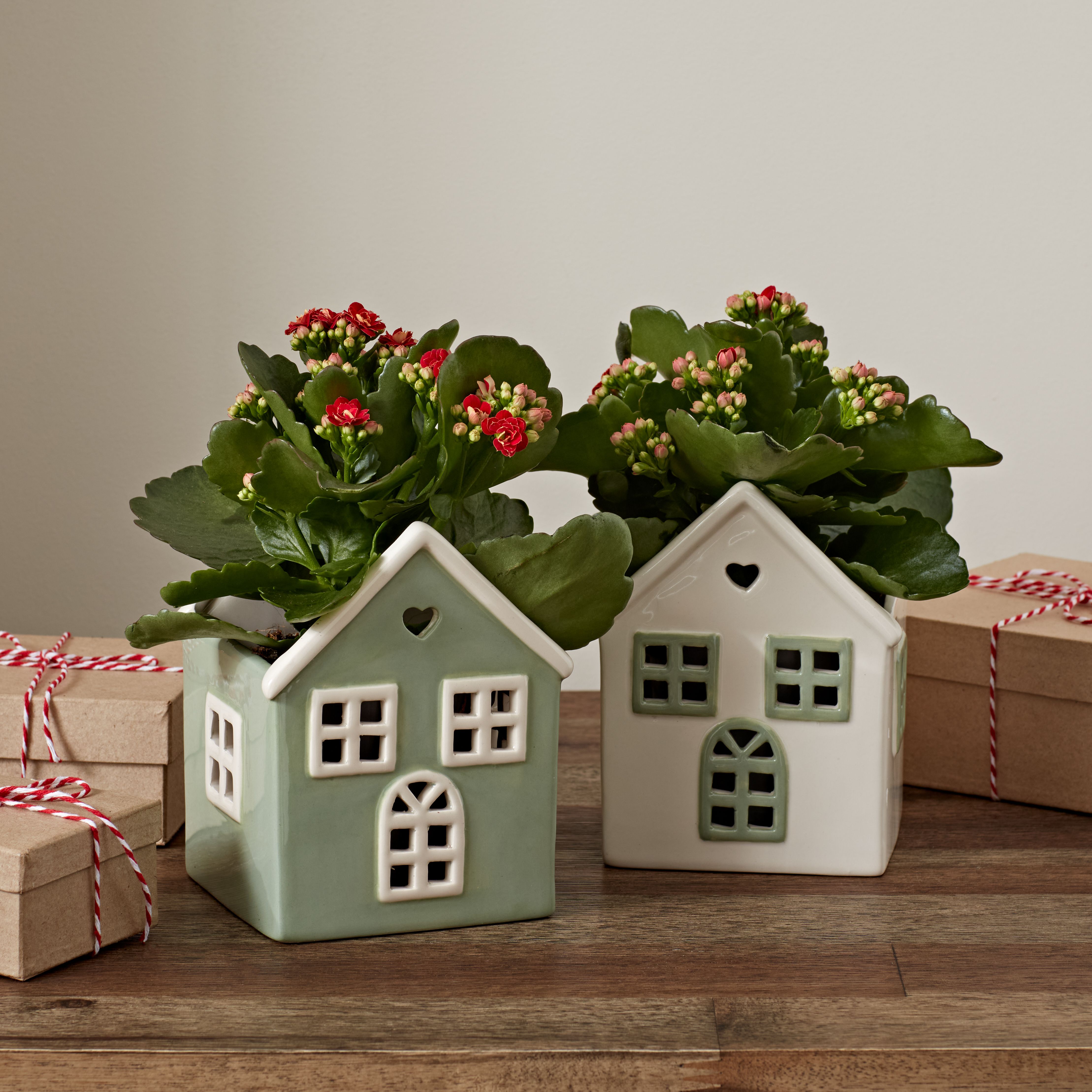 Flaming katy Ceramic Decorative pot 9cm