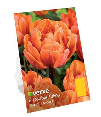 Flower bulb, Pack | DIY at B&Q