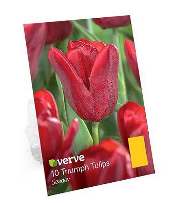 Flower bulb, Pack | DIY at B&Q