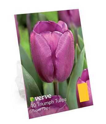 Flower bulb, Pack | DIY at B&Q