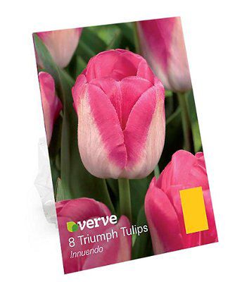 Flower bulb, Pack | DIY at B&Q