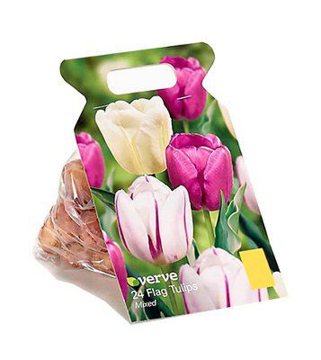 Flower bulb, Pack | DIY at B&Q