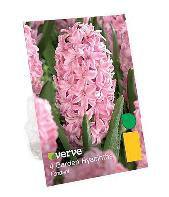Flower bulb, Pack | DIY at B&Q