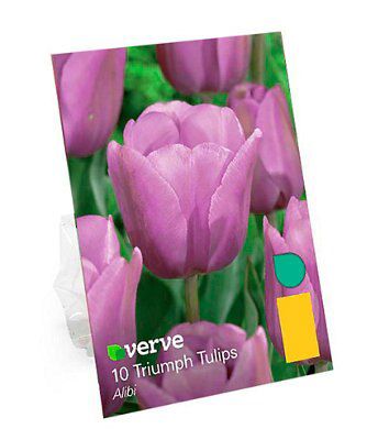 Flower bulb, Pack | DIY at B&Q