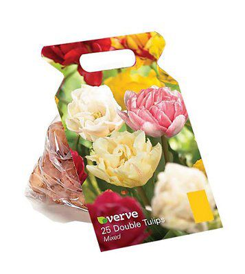 Flower bulb, Pack | DIY at B&Q
