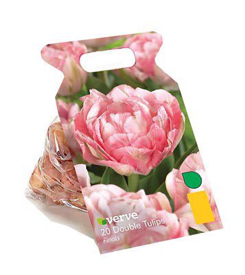 Flower bulb, Pack | DIY at B&Q