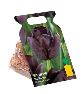 Flower bulb, Pack | DIY at B&Q