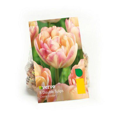 Flower bulb, Pack | DIY at B&Q