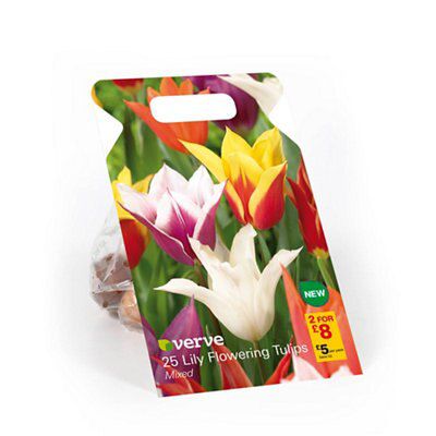 Flower bulb, Pack | DIY at B&Q
