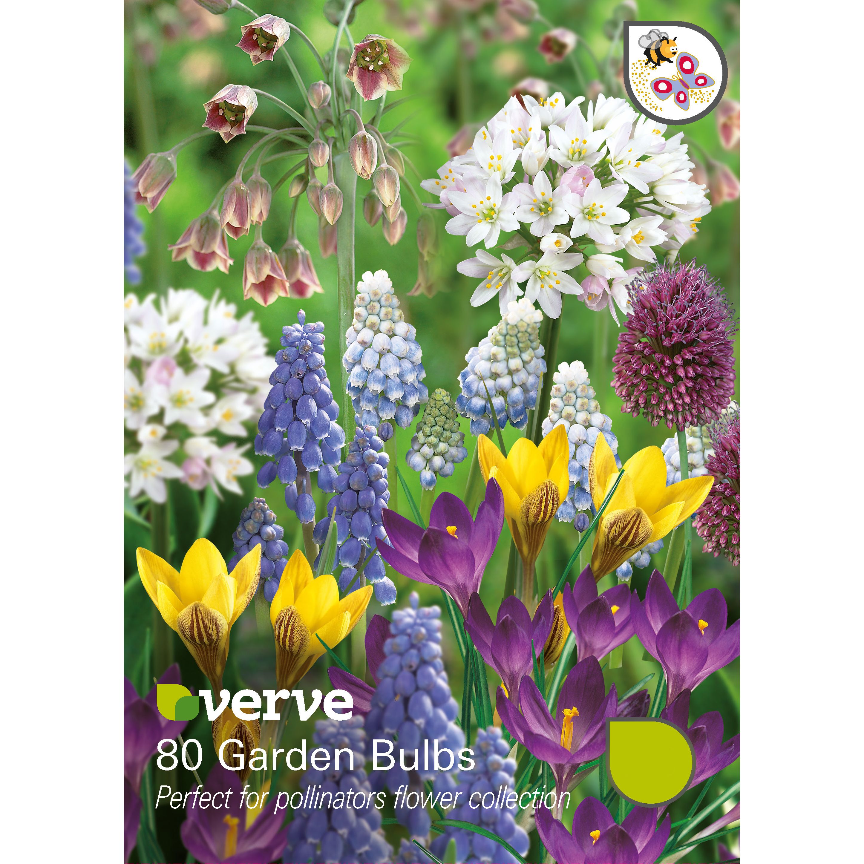 Flower bulbs