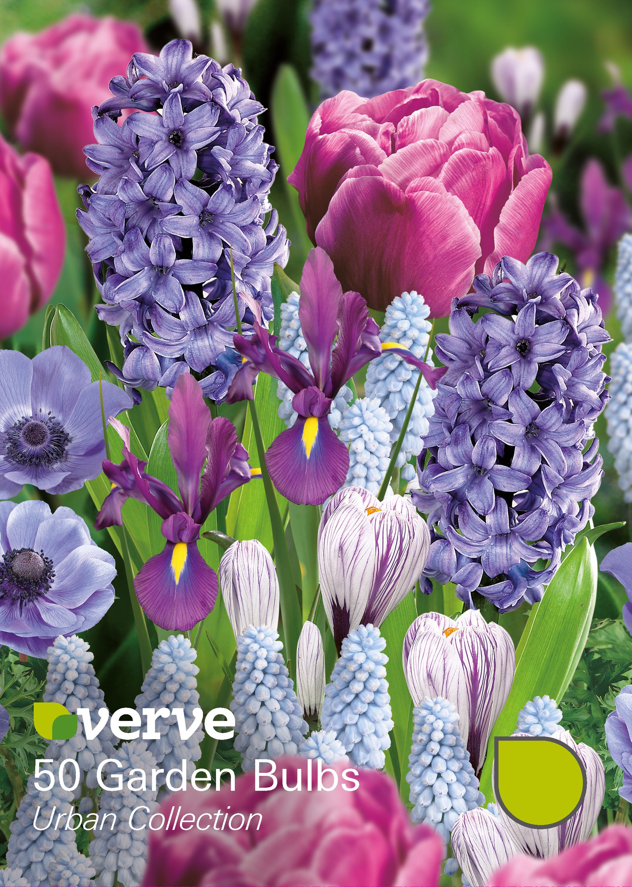 Flower bulbs