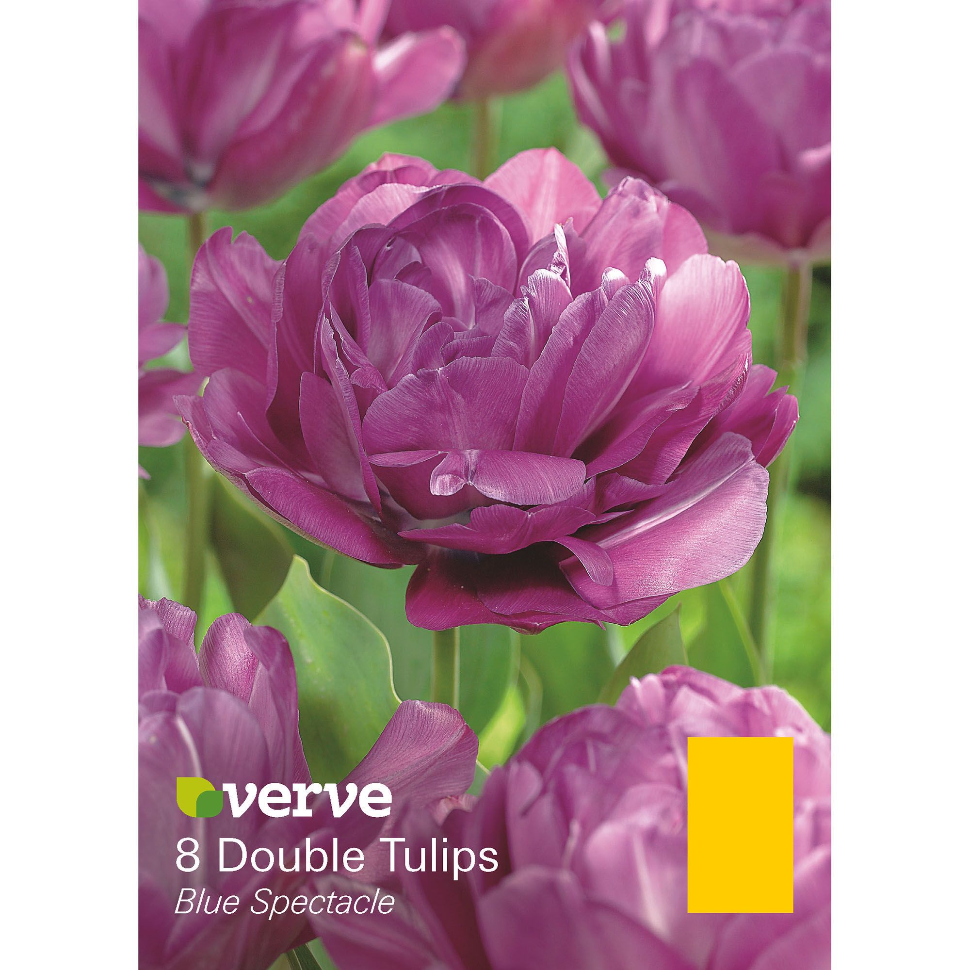 Flower bulbs