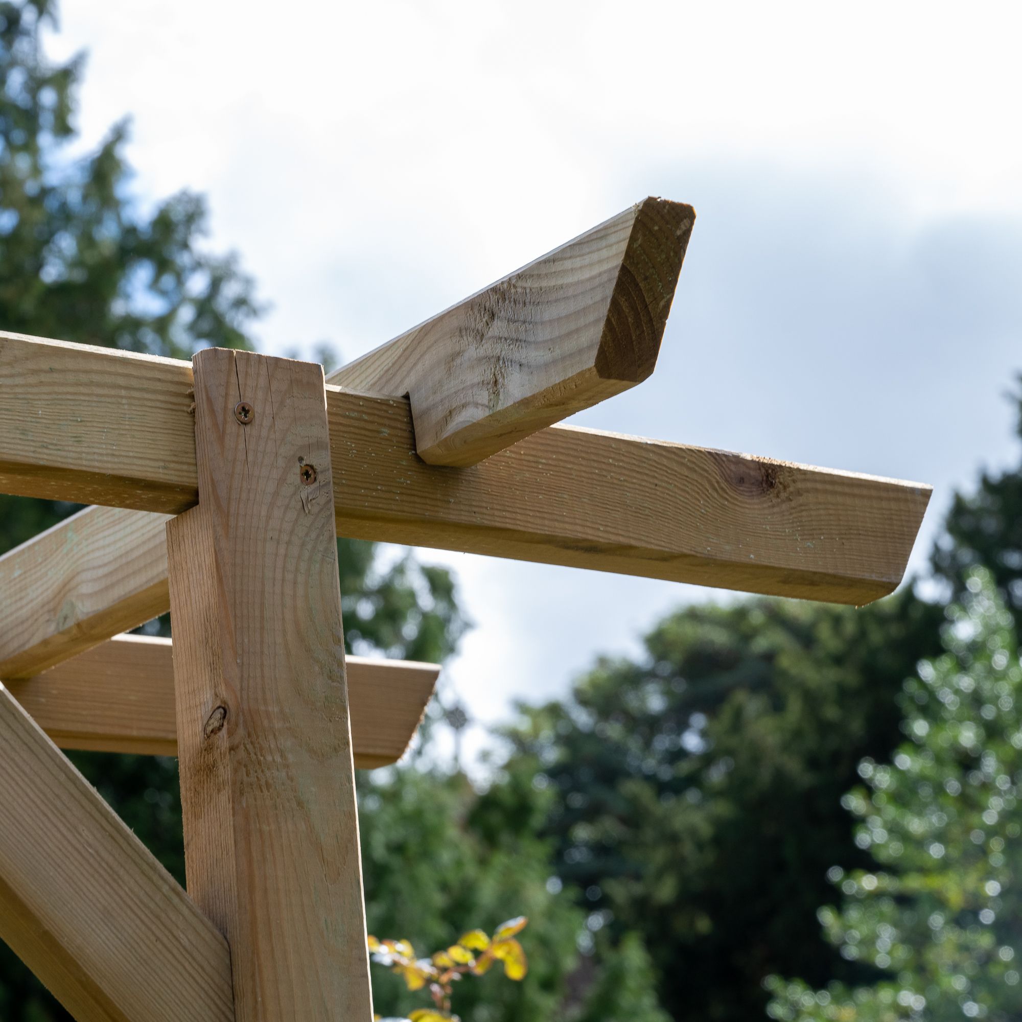Shop Forest Garden Classic flat top European softwood Arch (H) 213cm x ...