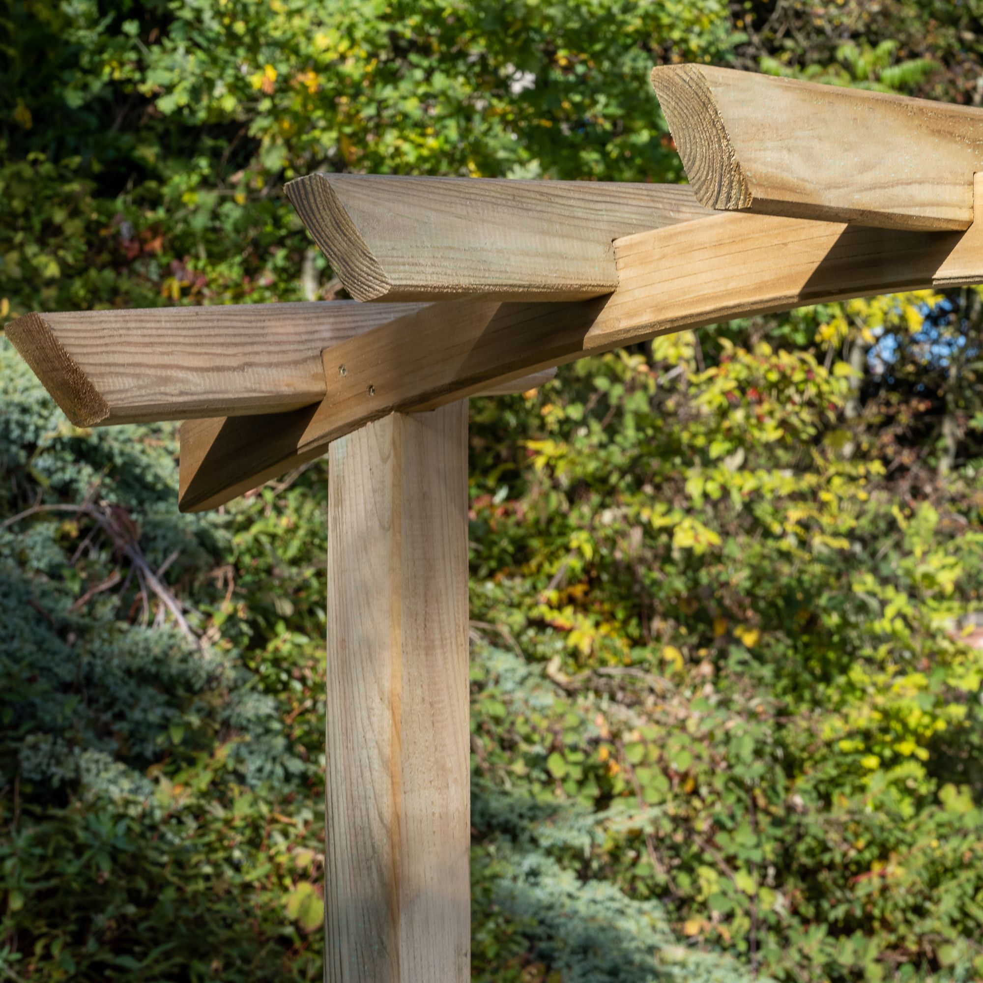 Forest Garden Hanbury dome top European softwood Arch (H) 218.3cm x (W ...