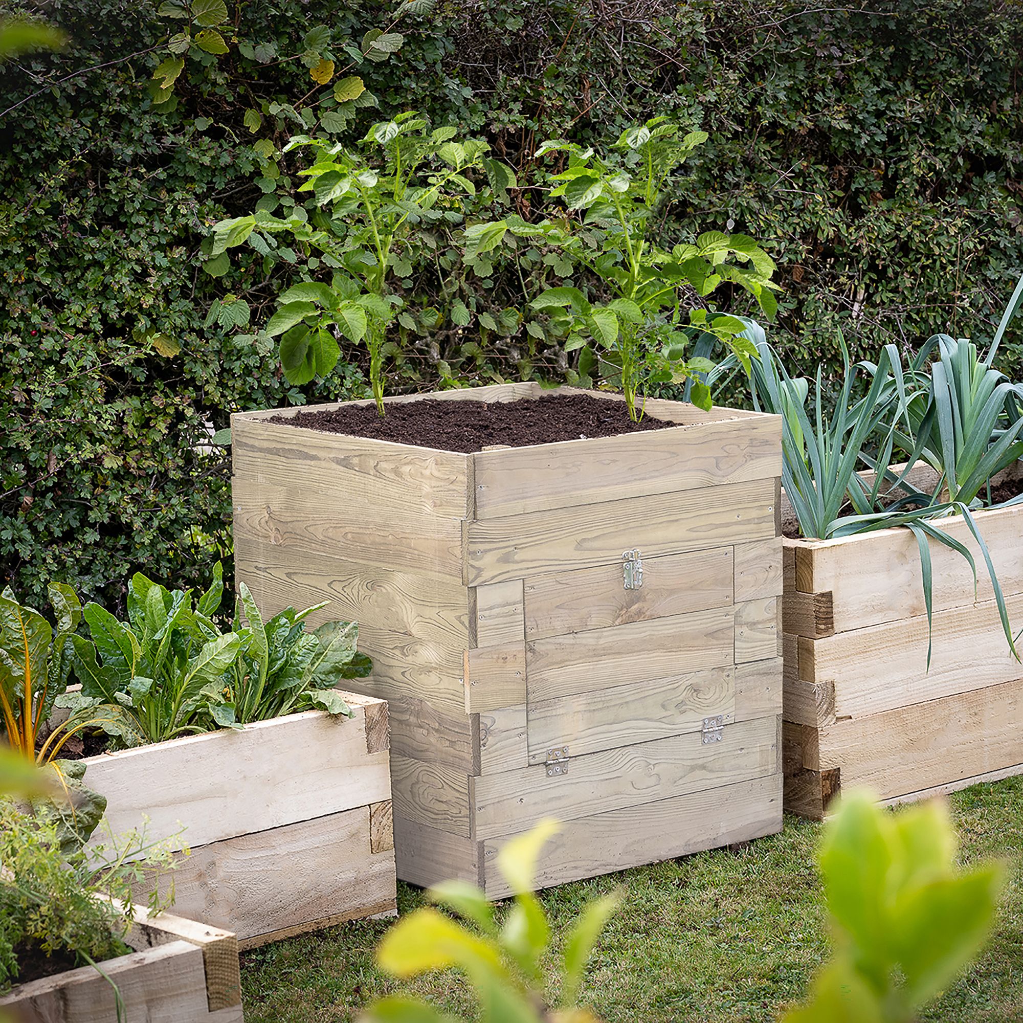Forest Garden Potato Natural Timber Square Planter (H)69.5cm (W)60cm (D ...