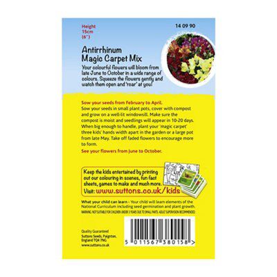 Fun To Grow Dragon flower Antirrhinum Seed