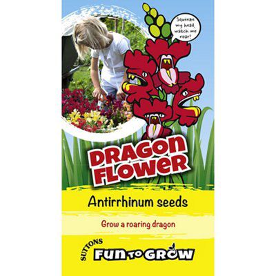Fun To Grow Dragon flower Antirrhinum Seed