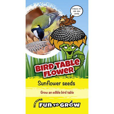 Fun To Grow Sunflower Seed