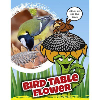 Fun To Grow Sunflower Seed