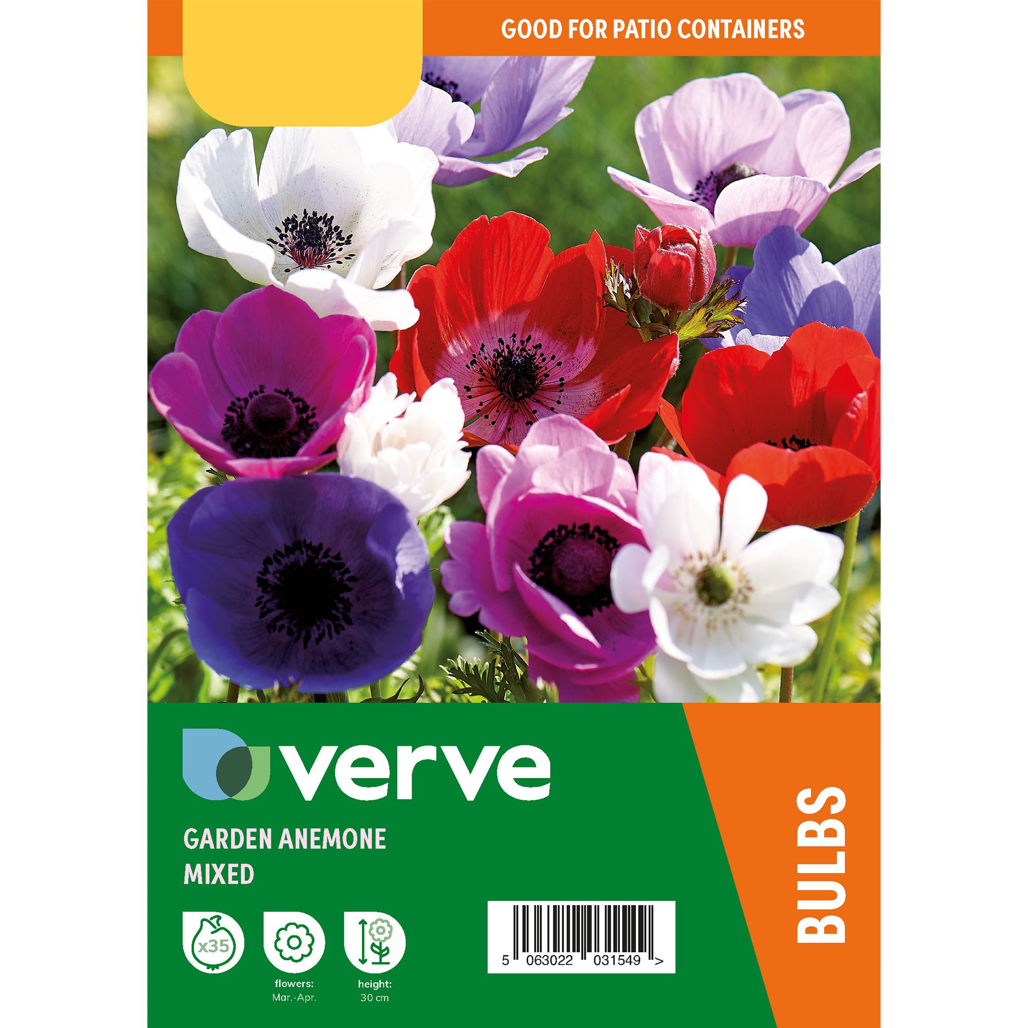 Garden Anemone Mixed 35 Flower bulbs | £6 at B&Q