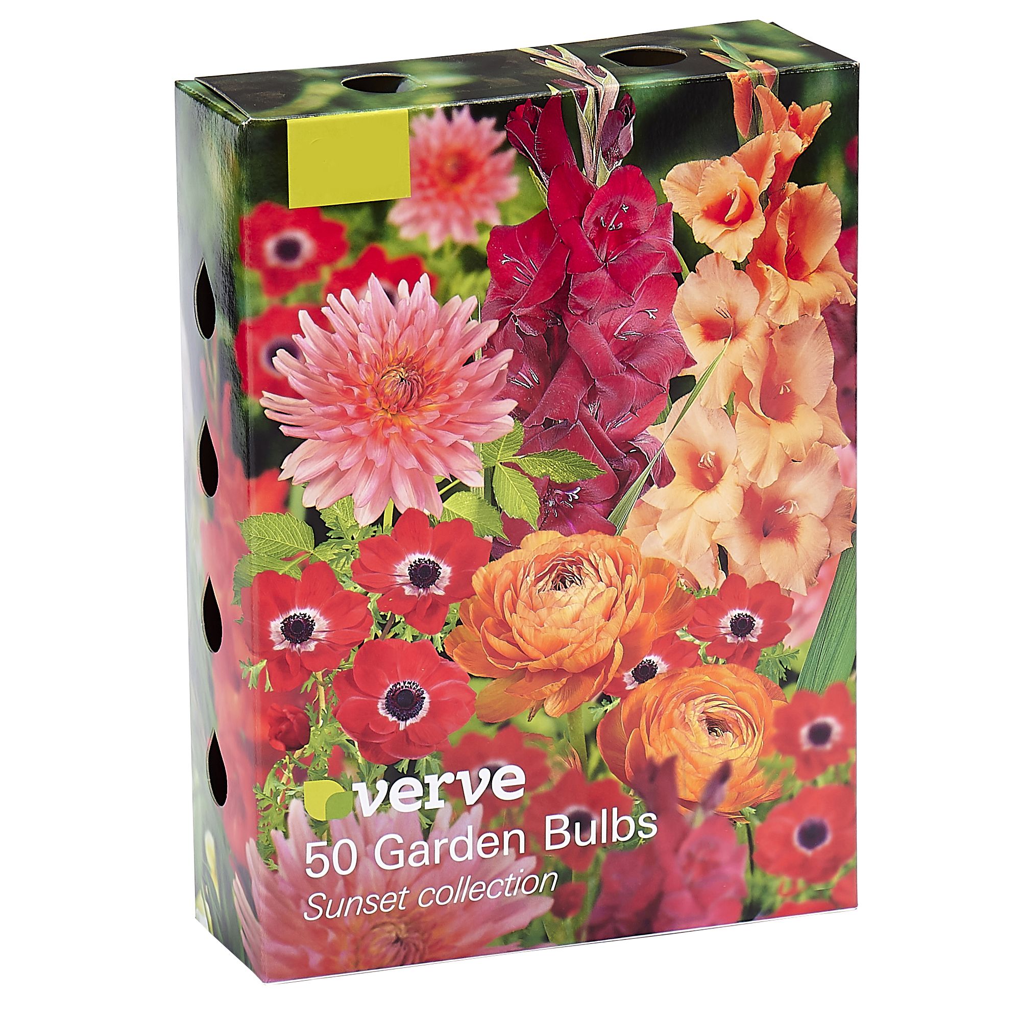 Garden Bulbs Sunset collection 50 Flower bulbs