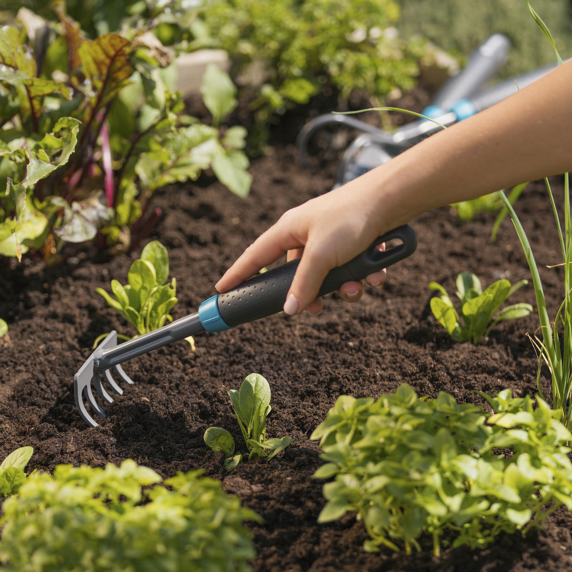 Gardena Comfort Steel Soil Flower Rake (W)88mm