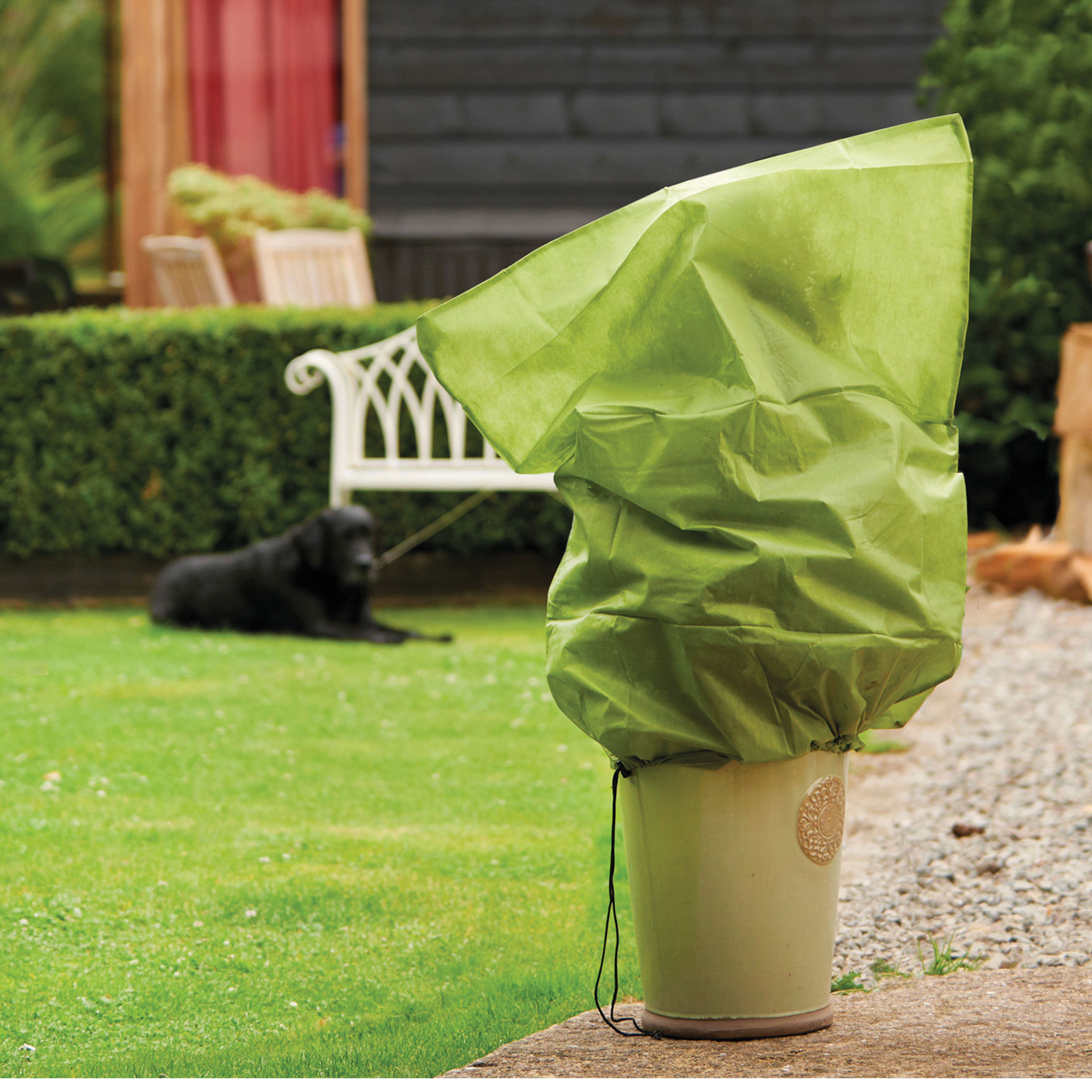 Buy Gardman Plant Protection Polypropylene Plant cover, (L)1.32m (W)1 ...