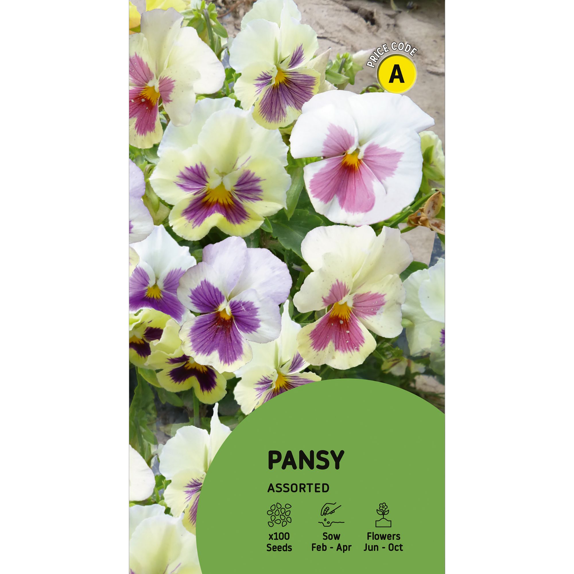 Giant Assorted Pansy Seeds